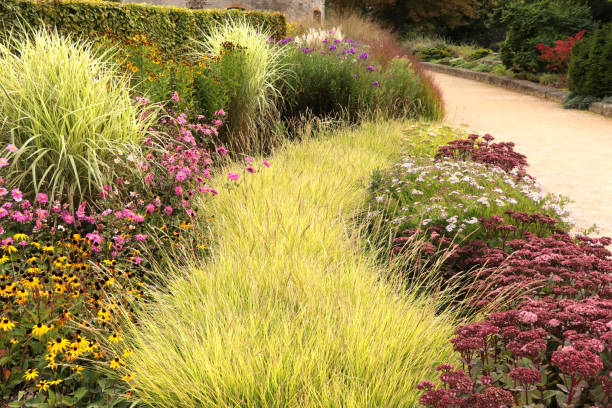 Ornamental Grasses: Adding Beauty and Texture to Your Garden - Planters ...