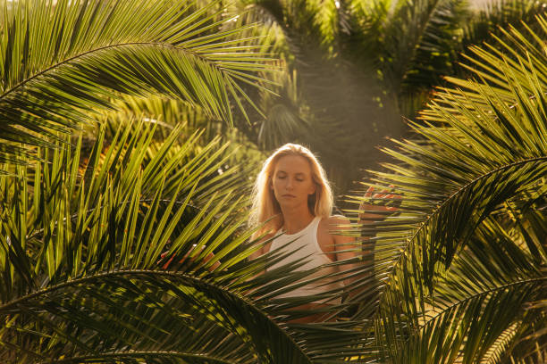 Broadleaf Lady Palm Tree: A Unique Addition to Your Garden - Planters Realm