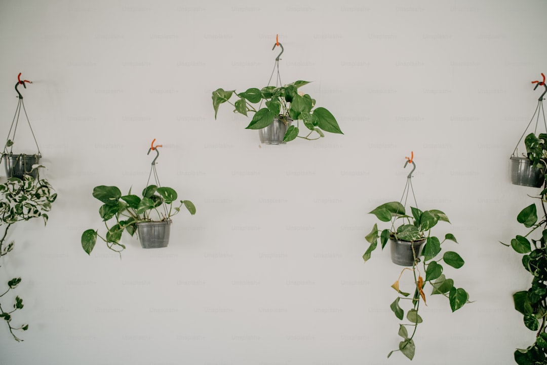Air Layering: Advanced Propagation for Woody Plants