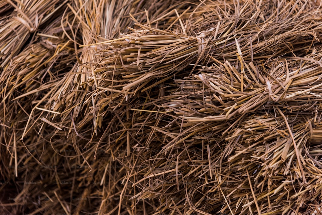 Complete Guide to Garden Mulch (2026) - Planters Realm