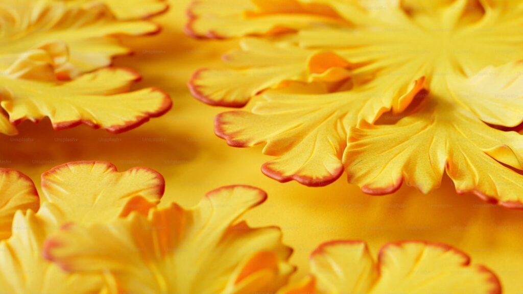 How to Plant, Grow, and Care for Marigolds (2026) - Planters Realm